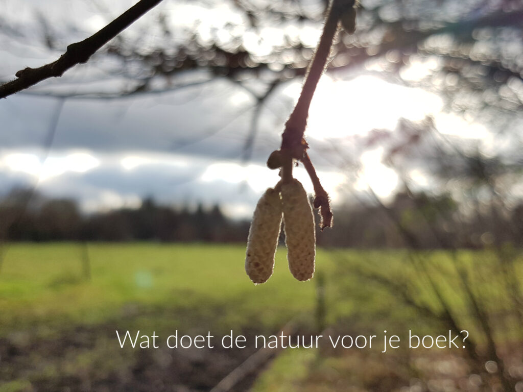 Wat doet de natuur voor je boek? - Boekschrijven.nl